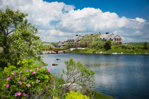Casual Luxury Beach Hotel Serving all of New England